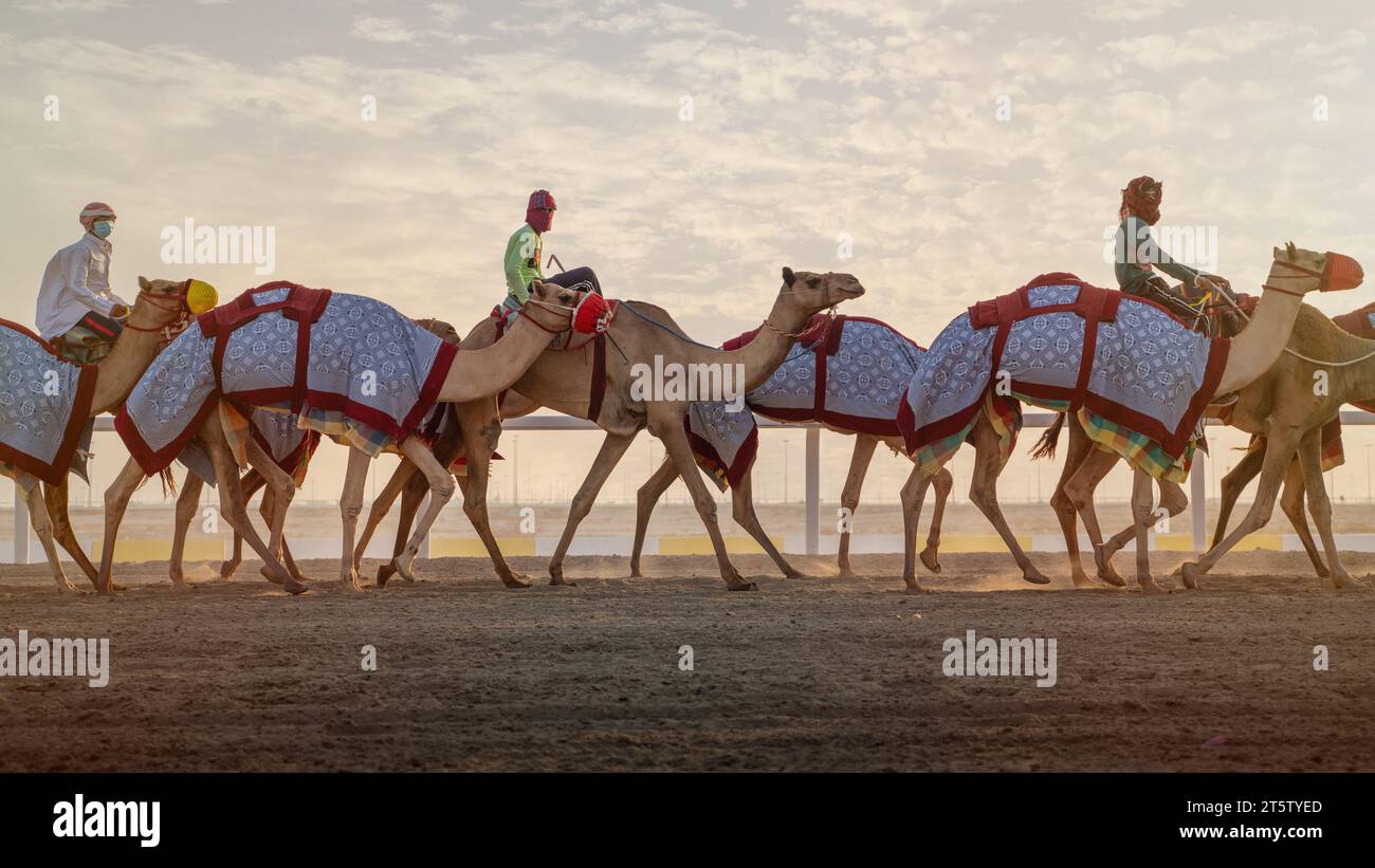 Ash-Shahaniyah, Qatar- March 21 2022 : Jockeys riding camels at a race ...