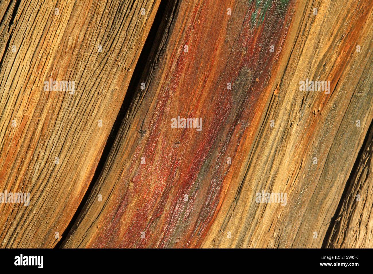 Ash wood texture Stock Photo - Alamy