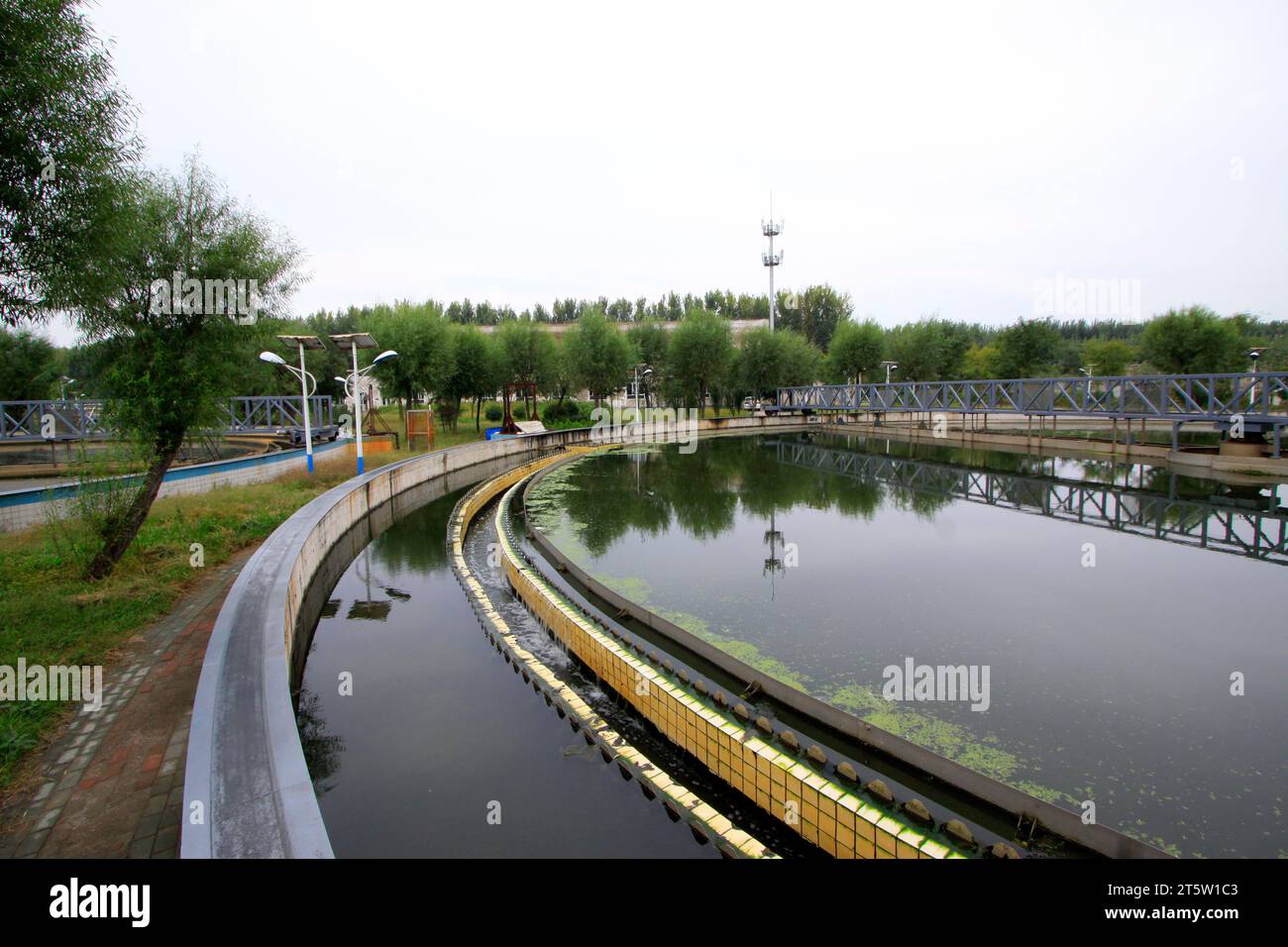 Wastewater treatment plant settling pond, closeup of photo Stock Photo ...