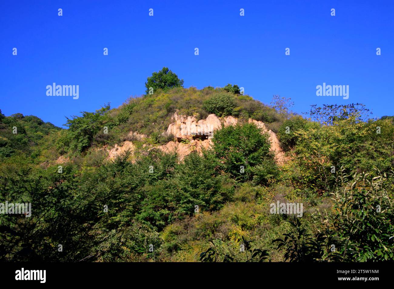 mountain scenery is in a geological park Stock Photo - Alamy