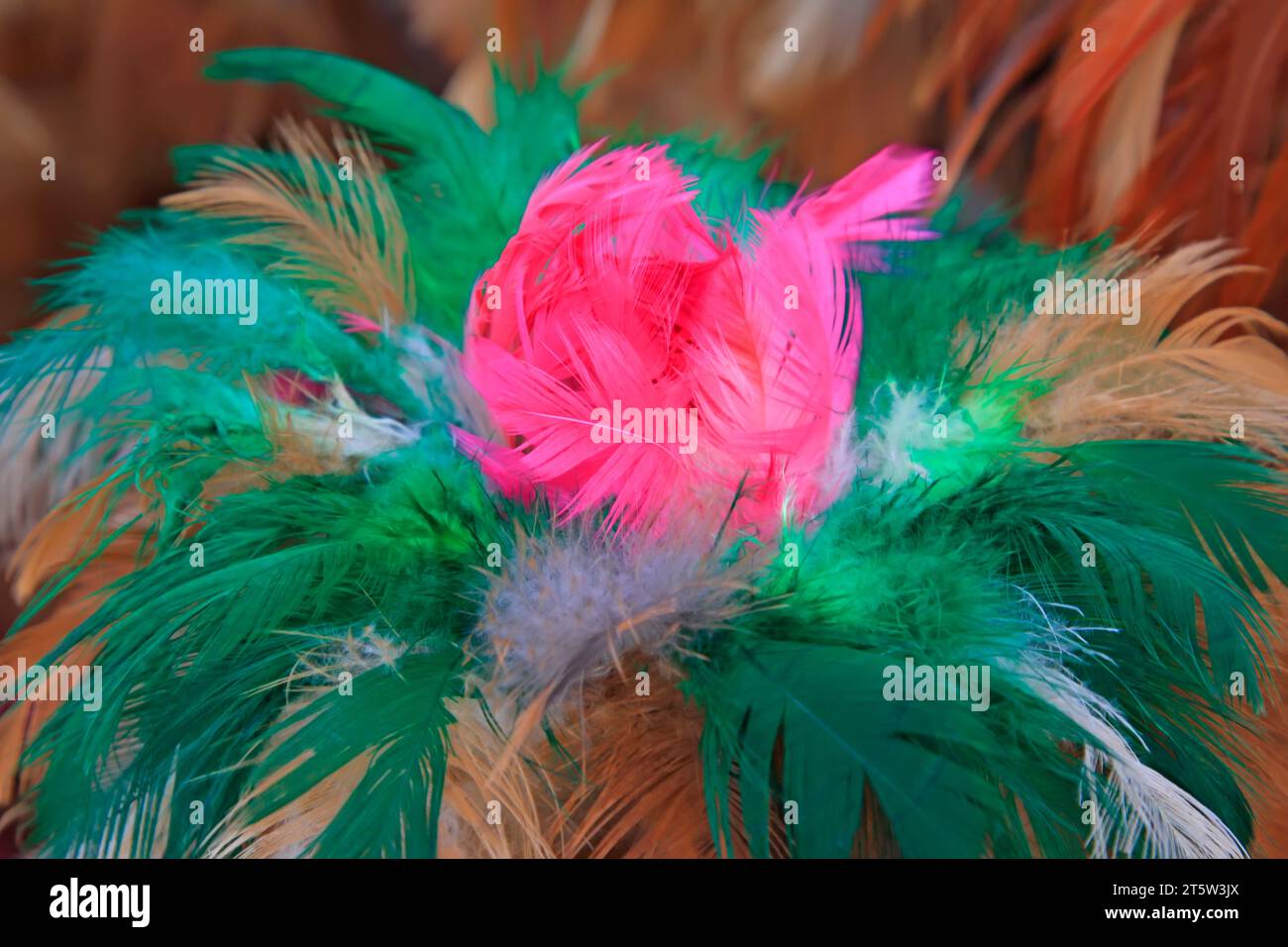 Color feather duster Stock Photo - Alamy