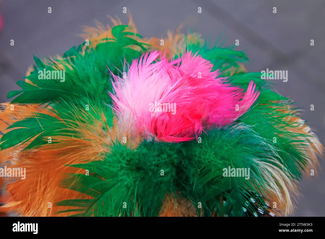 Color feather duster Stock Photo - Alamy