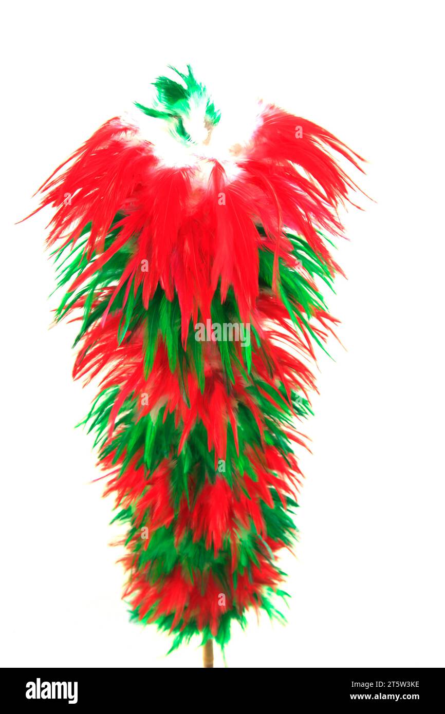 Color feather duster Stock Photo - Alamy