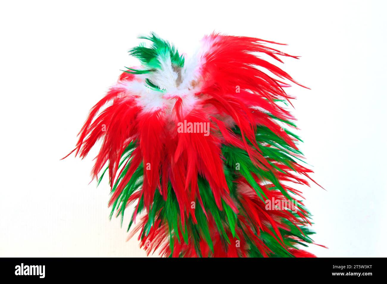 Color feather duster Stock Photo - Alamy