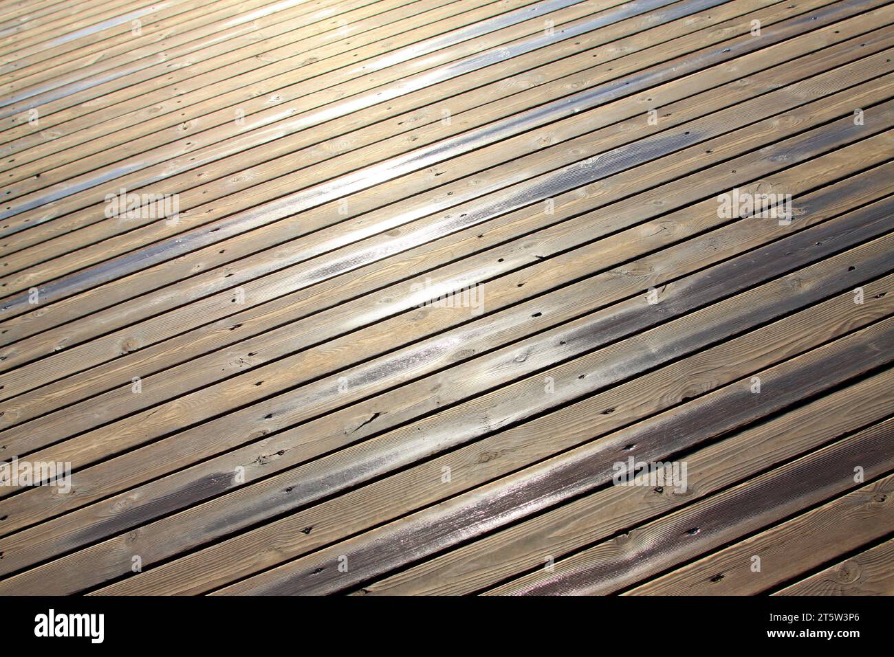 Damp wood hi-res stock photography and images - Alamy