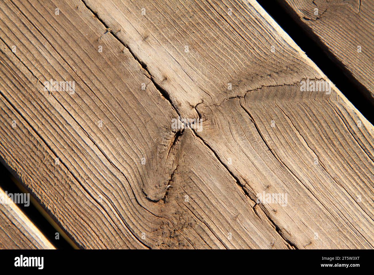 damp wood splice together, closeup of photo Stock Photo - Alamy