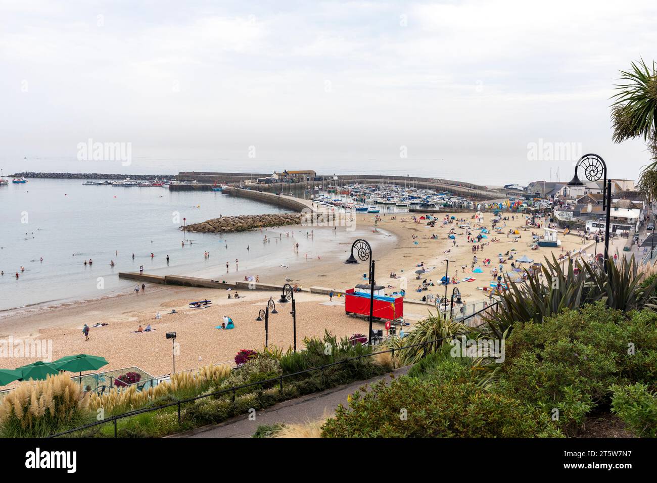 Lyme Regis seaside town, sandy beach and the Cobb and view across the ...