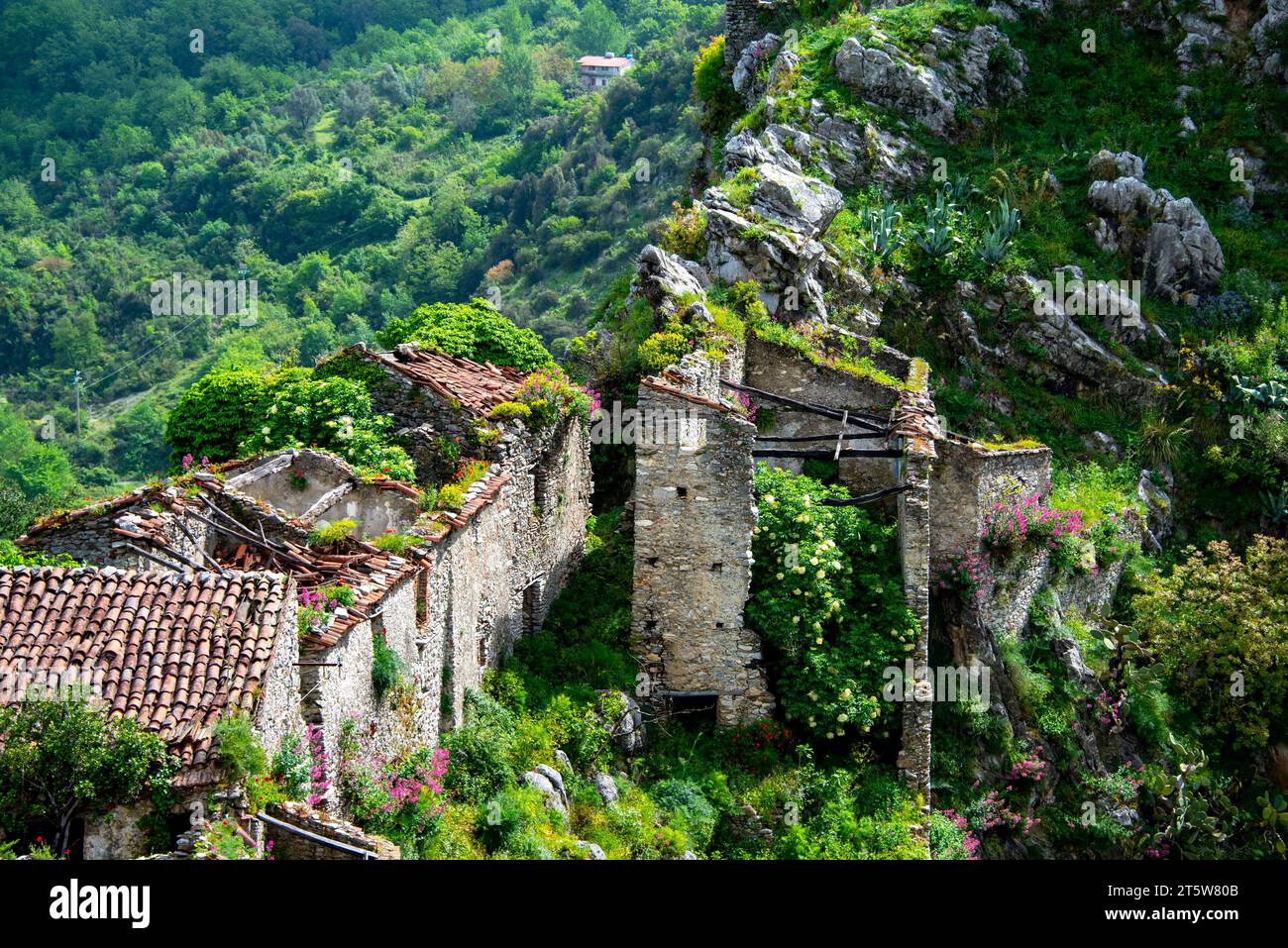 Medieval Village of San Severino di Centola - Italy Stock Photo - Alamy