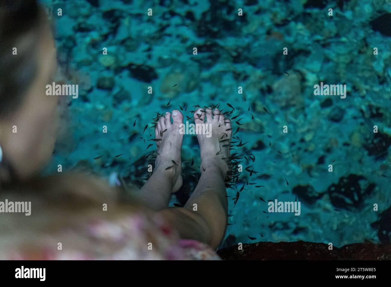 Fish pedicure salon hi-res stock photography and images - Alamy