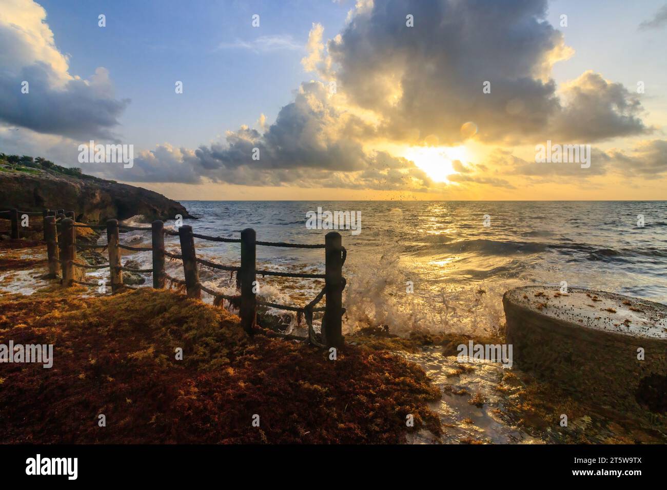 Sunrise over the Caribbean Sea, Tulum, Mexico. In the foreground ...