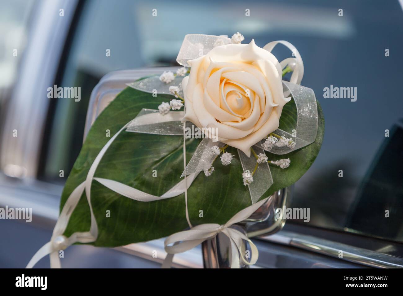 Symbol des heiraten hi-res stock photography and images - Alamy