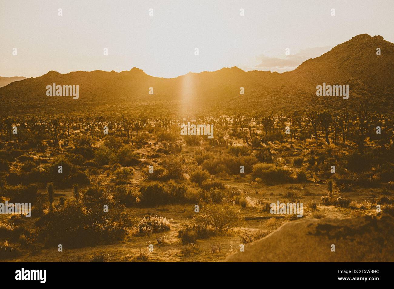 Nostalgic nature hi-res stock photography and images - Alamy