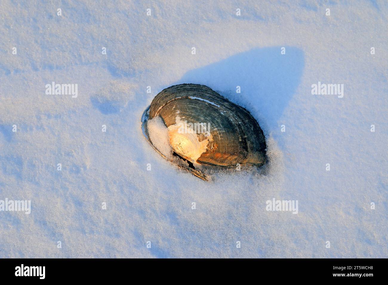Defiled hi-res stock photography and images - Alamy