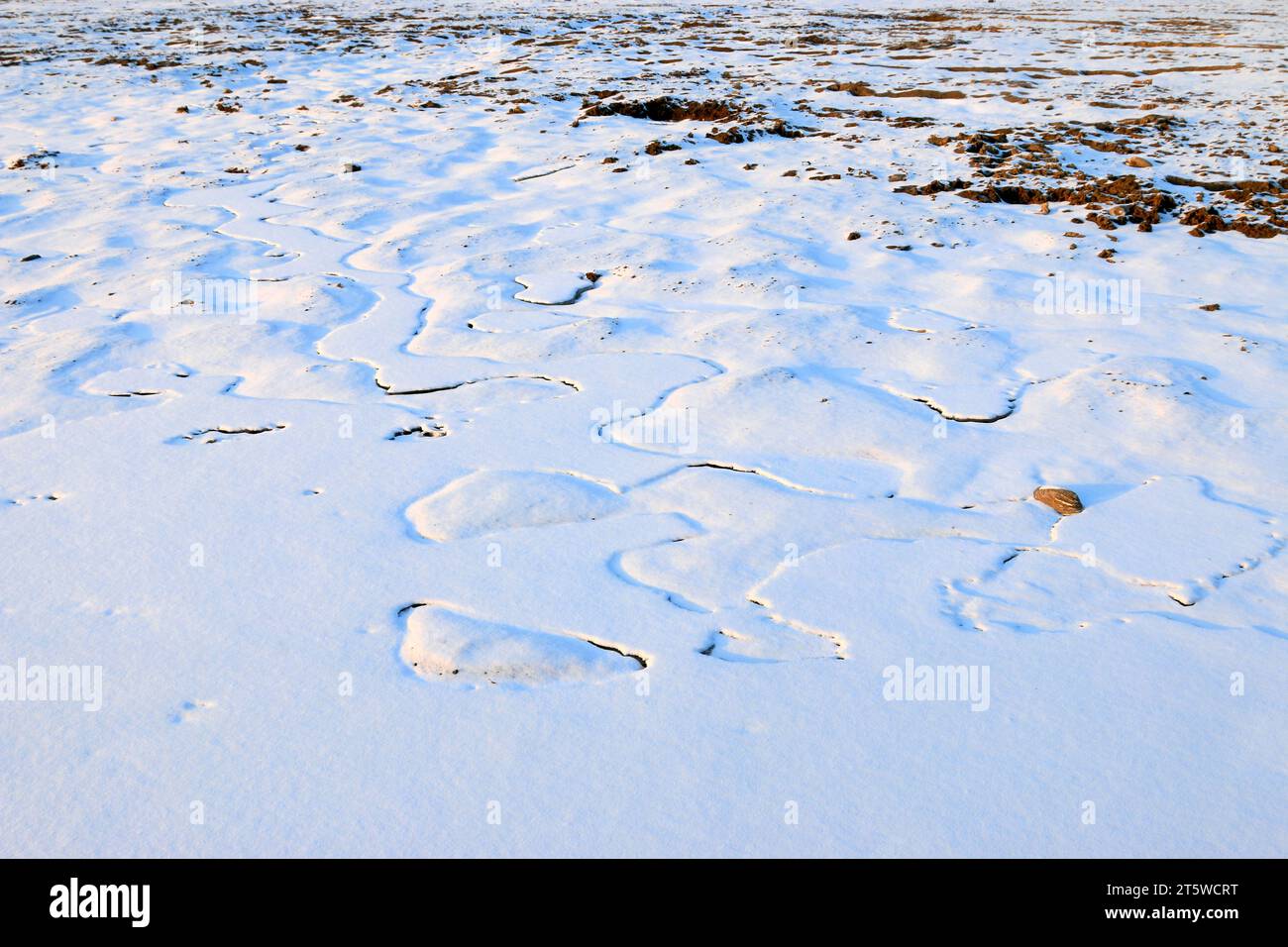 Permafrost soil hi-res stock photography and images - Alamy