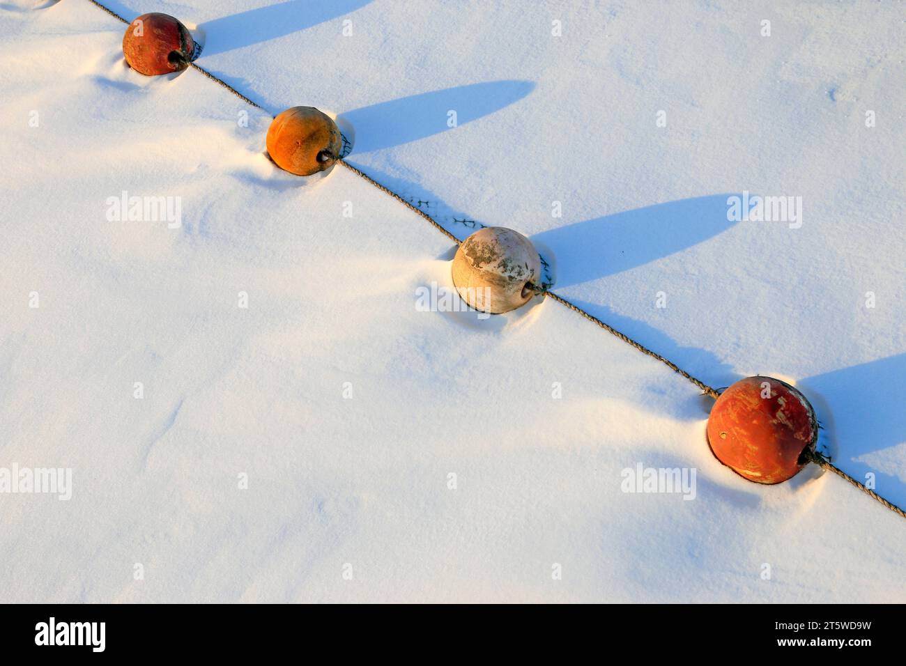 Float in the snow Stock Photo - Alamy