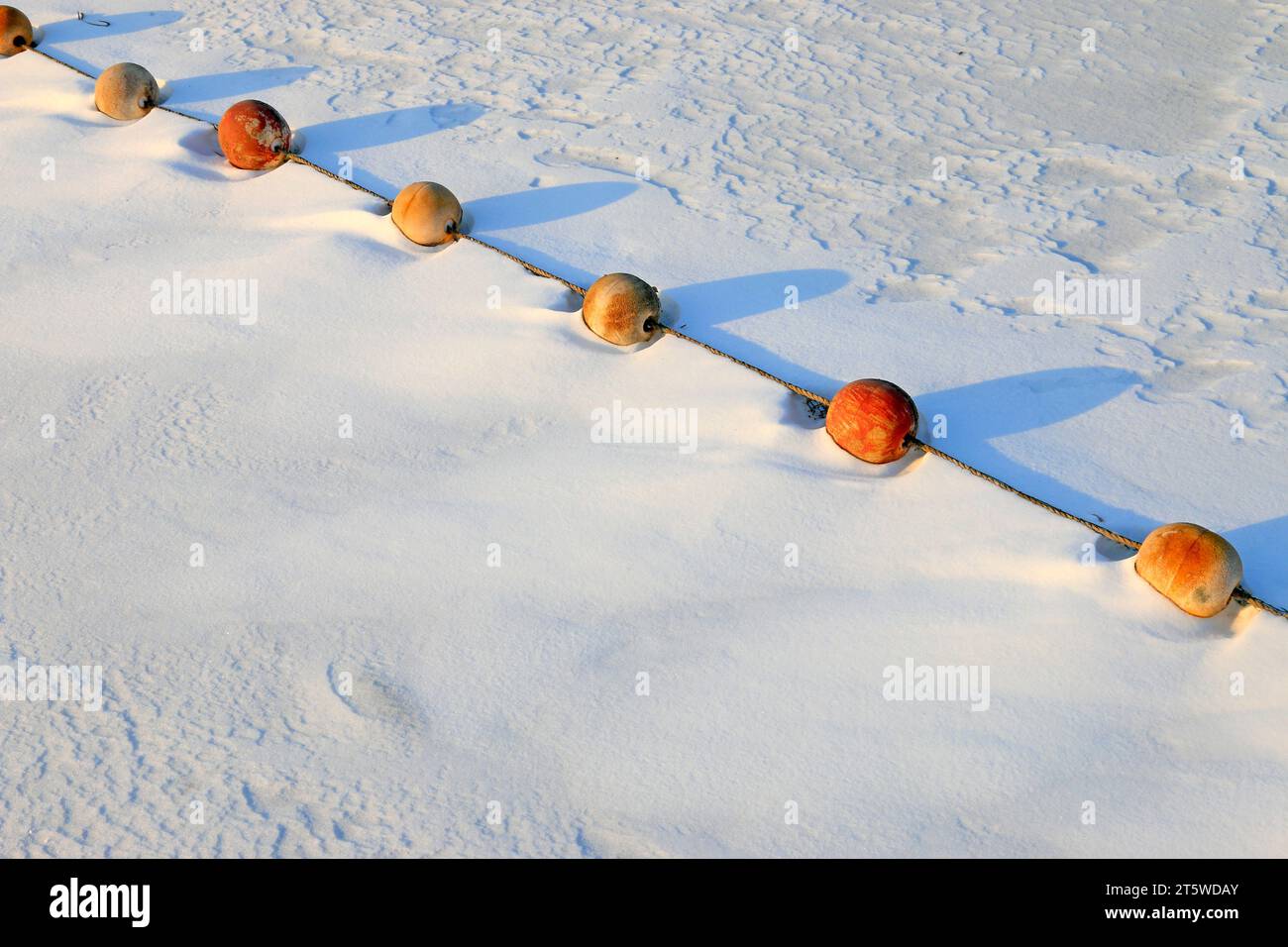 Float in the snow Stock Photo - Alamy