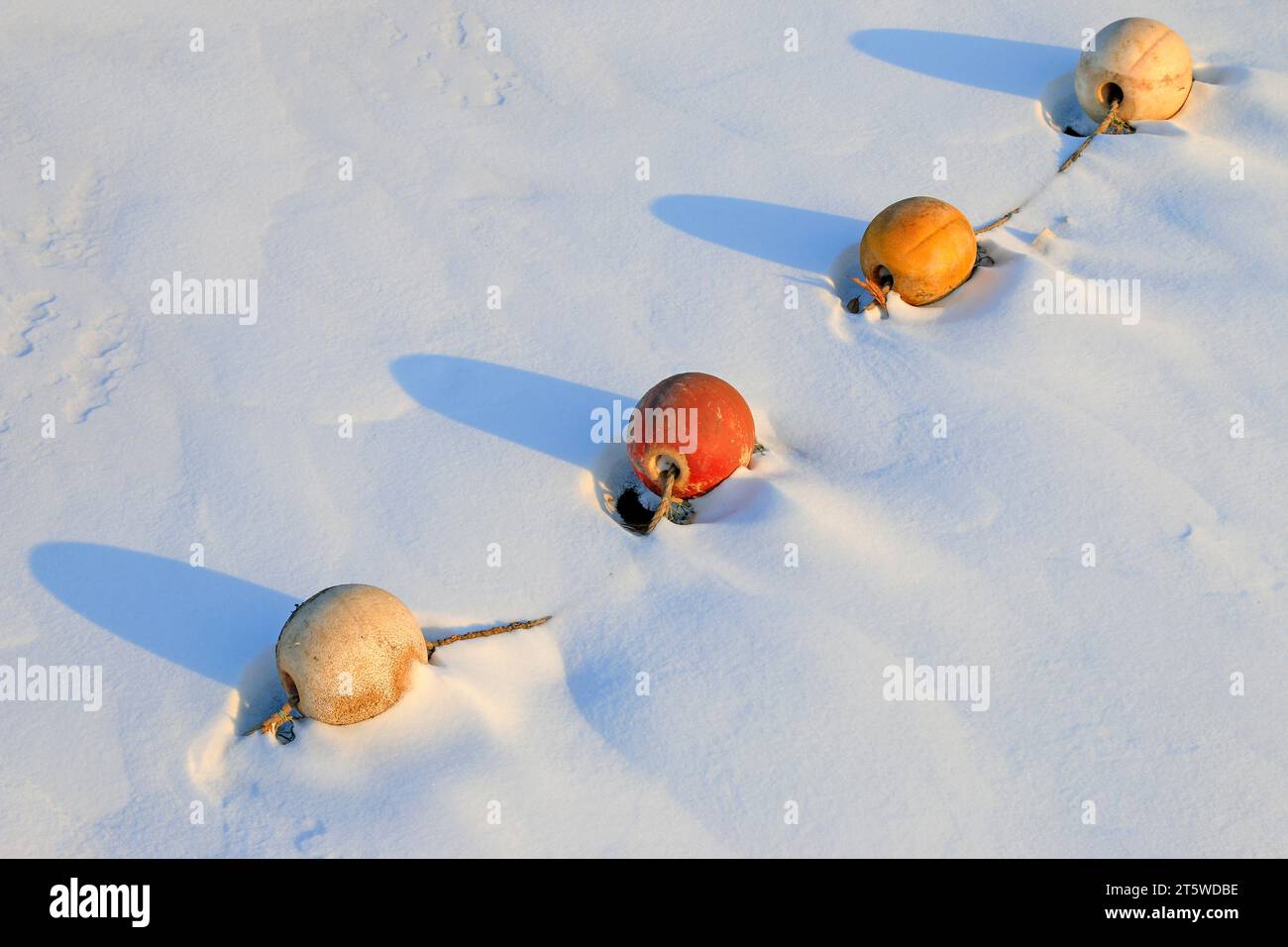 Float in the snow Stock Photo - Alamy
