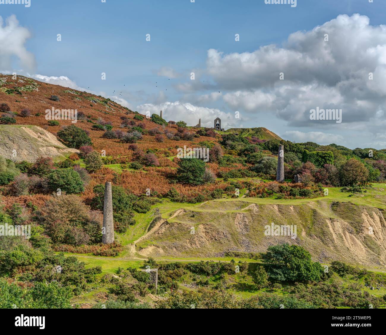 Minions, Cornwall, are many old dis-used but preserved Tin Mines and ...
