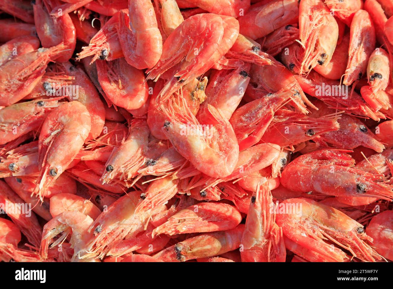 Prawn stack hi-res stock photography and images - Alamy