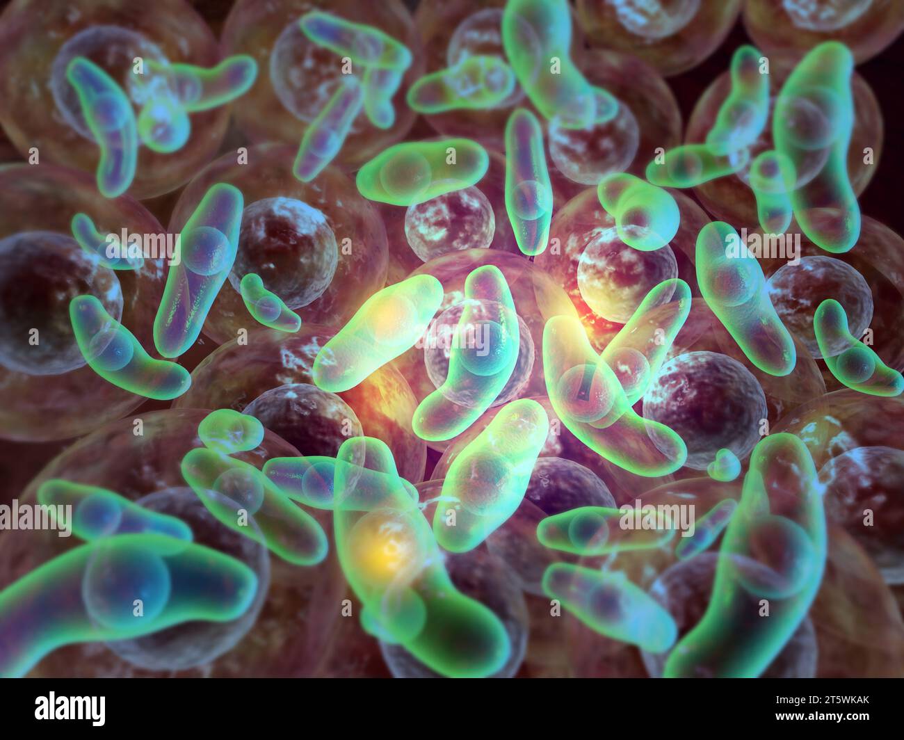 Virus attacking cells. 3d illustration Stock Photo - Alamy