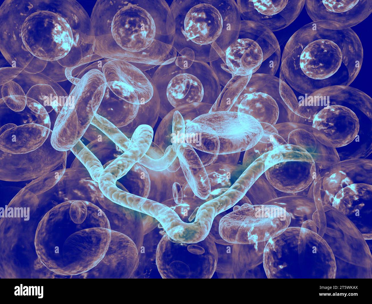 Virus attacking cells. 3d illustration Stock Photo - Alamy