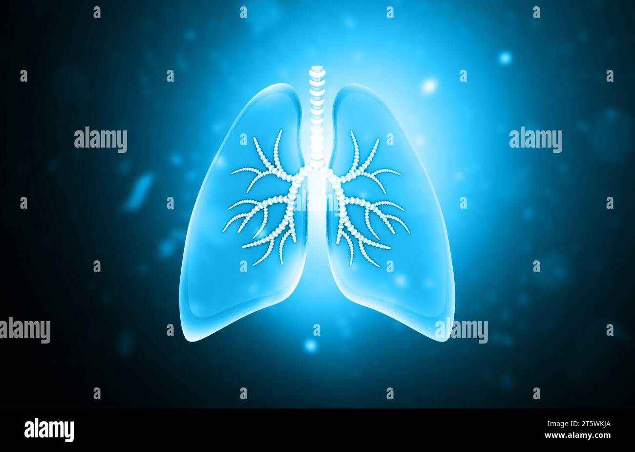 Human lungs on abstract science background. 3d illustration Stock Photo ...