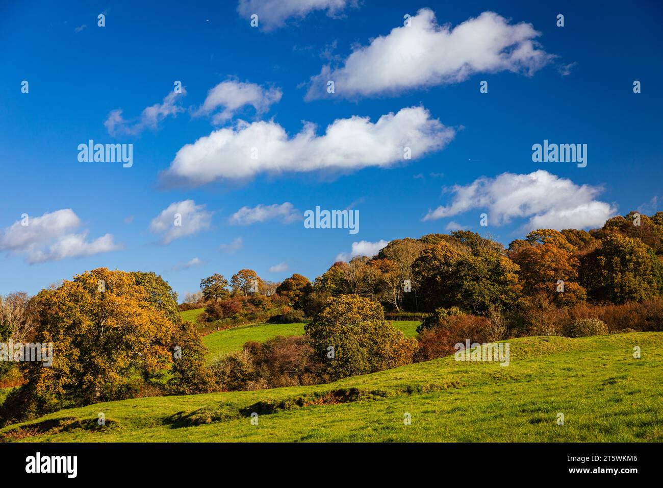 Beautiful autumn countryside and woodland on the high weald near ...