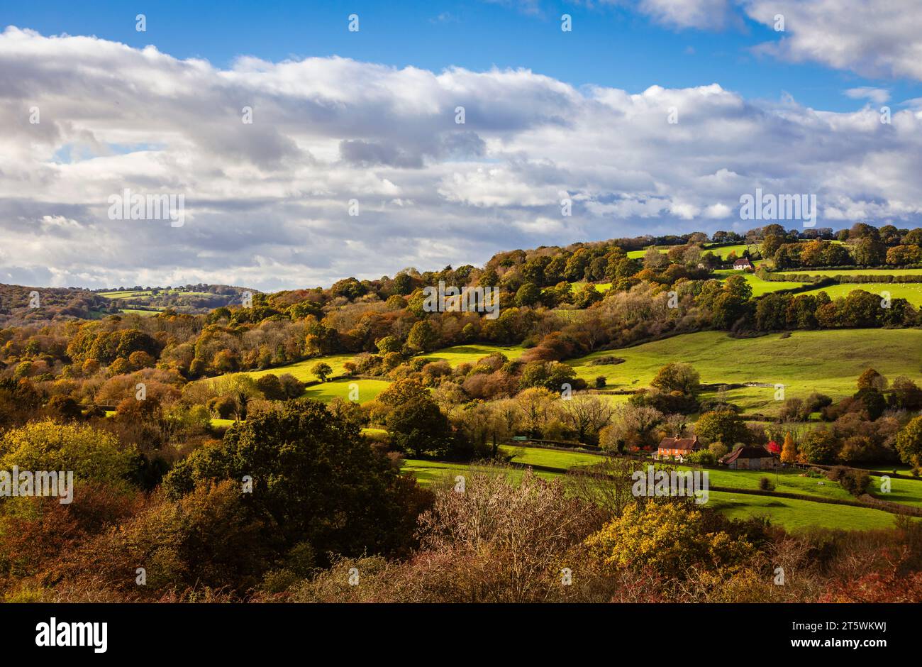 Beautiful autumn countryside and woodland on the high weald near ...
