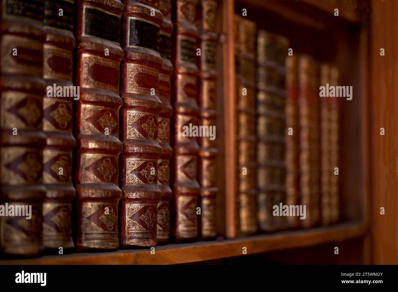 Vienna, Austria: Old bookcase with the leather-bound book covers in ...