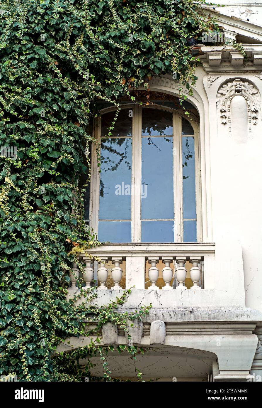Beautiful French windows. Window frames with wooden shutters. Windows ...