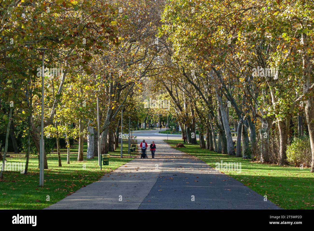 Pushing the pram in the park hi-res stock photography and images - Alamy