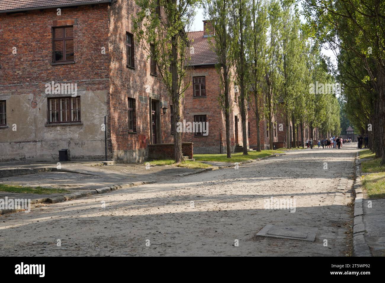 detail of the Aschwitz Nazi concentration camp in Poland Stock Photo ...