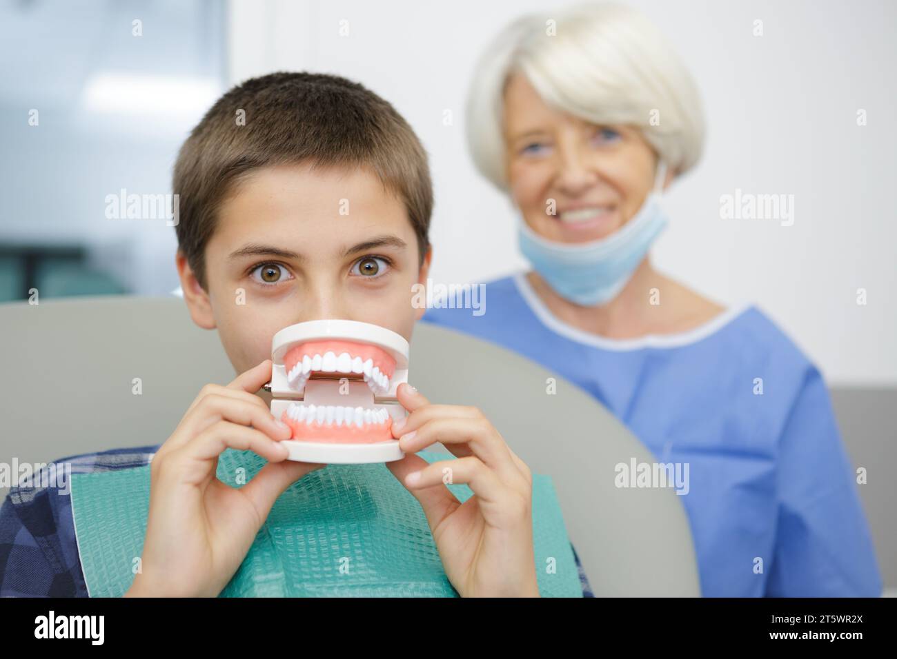 cute little boy showing teeth model to the camera Stock Photo - Alamy