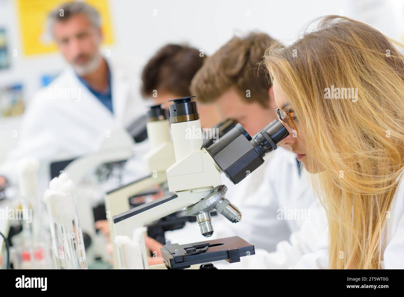 Science students looking into microscopes Stock Photo - Alamy