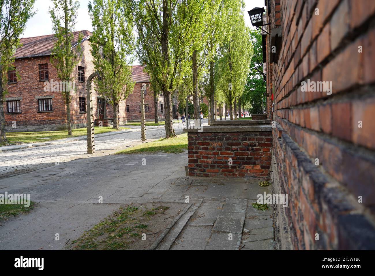 detail of the Aschwitz Nazi concentration camp in Poland Stock Photo ...