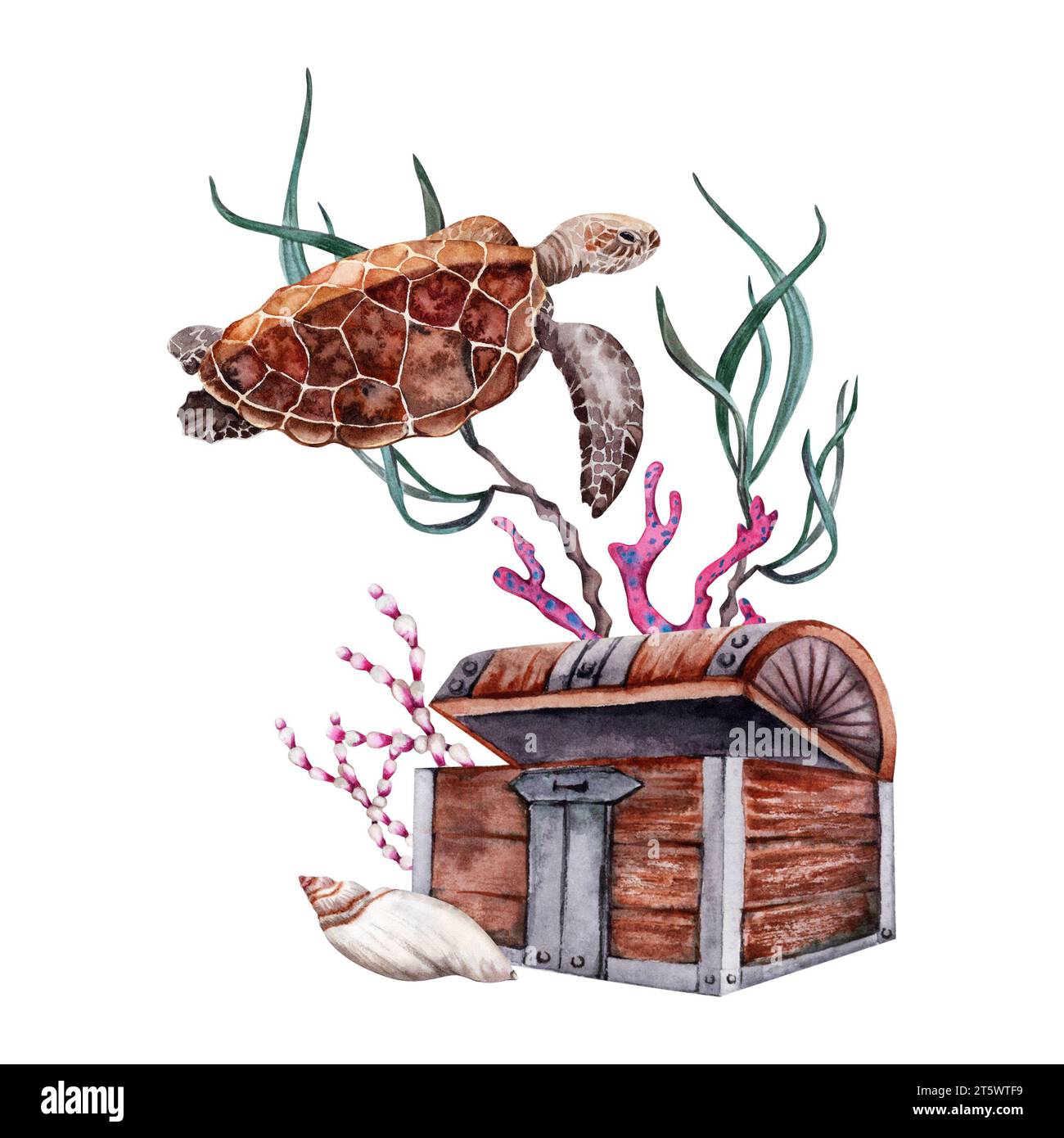 A composition with sea turtle, seaweed and coral near opened sunken ...