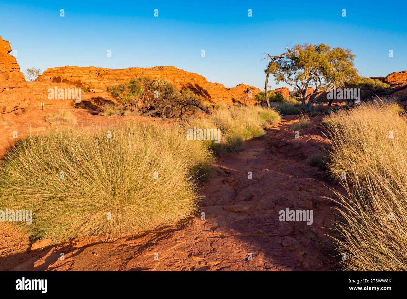 Aboriginal landscape hi-res stock photography and images - Alamy