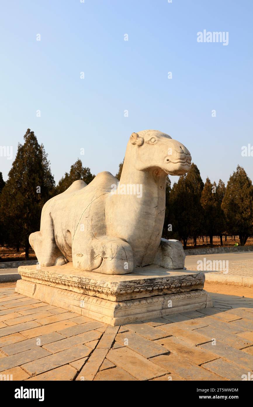 Chinese ancient camel sculptures Stock Photo - Alamy