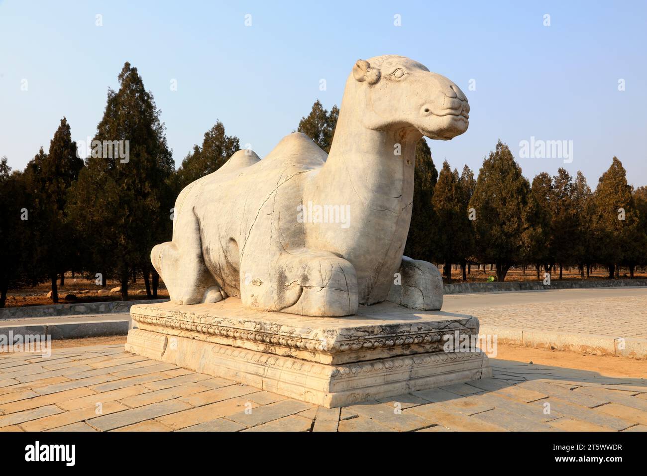Camel sculptures hi-res stock photography and images - Alamy