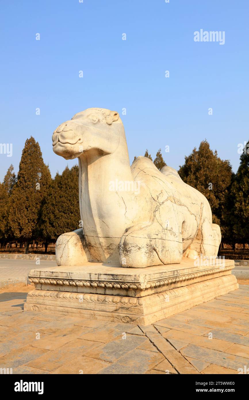 Chinese ancient camel sculptures Stock Photo - Alamy