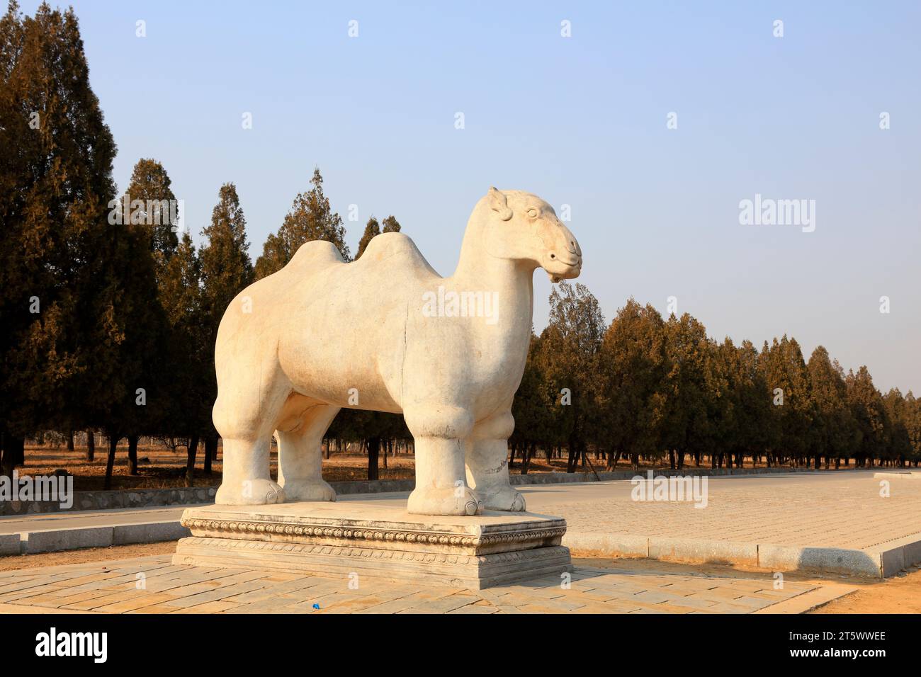 Chinese ancient camel sculptures Stock Photo - Alamy