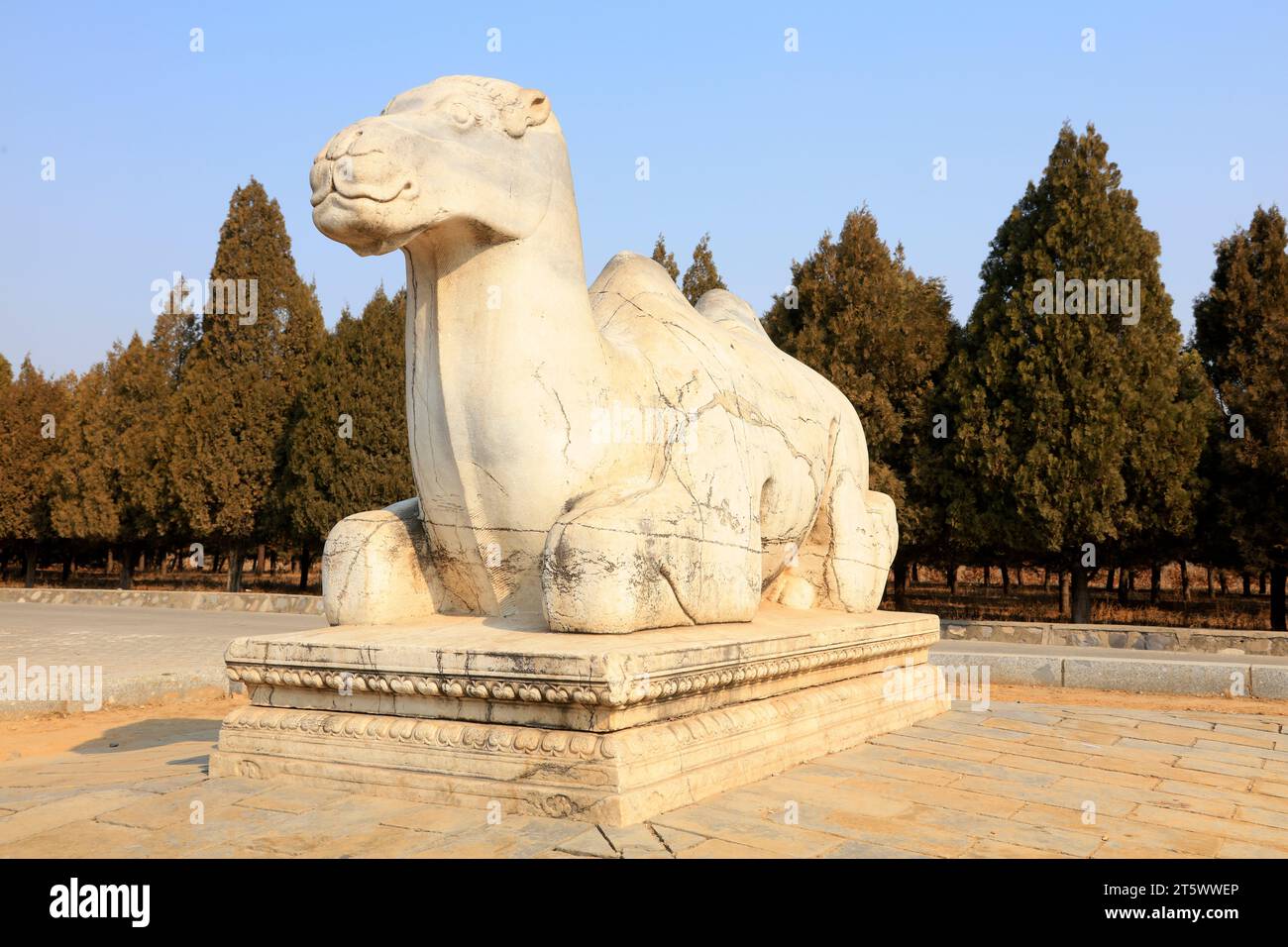 Chinese ancient camel sculptures Stock Photo - Alamy