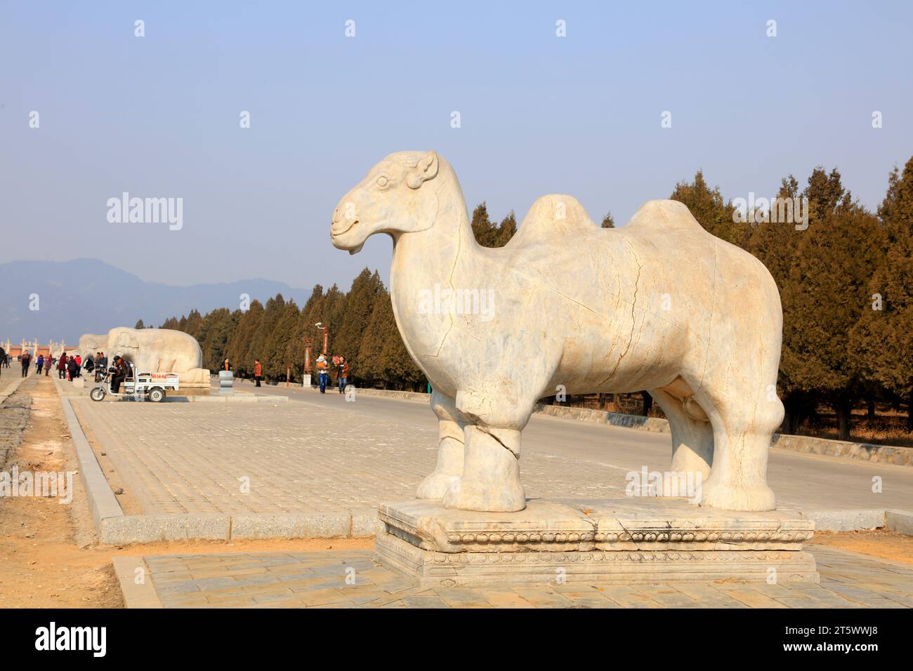 Chinese ancient camel sculptures Stock Photo - Alamy