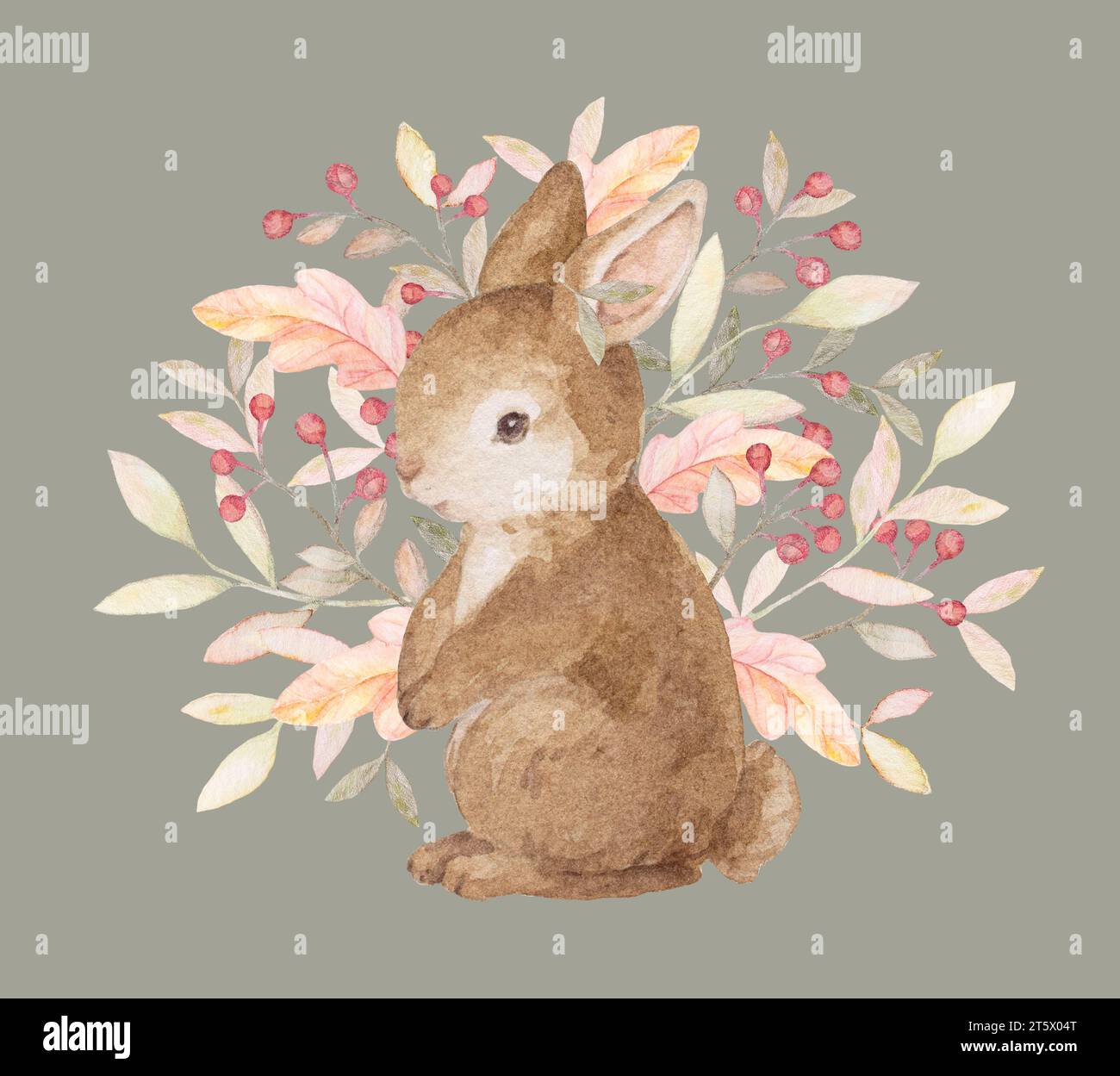Little Rabbit Illustrations. Forest Animal with Floral Background ...