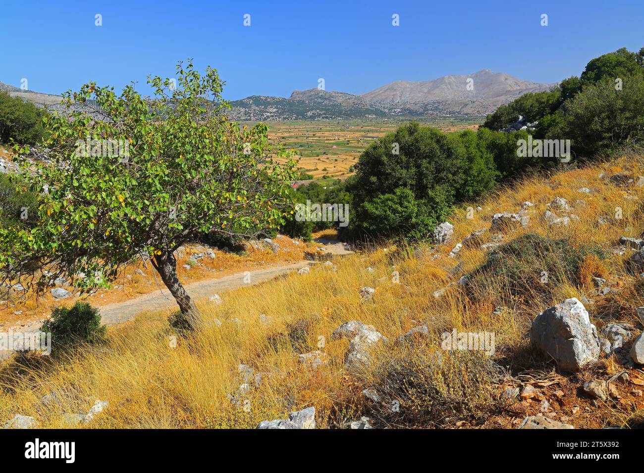 View from the path leading to Zeus cave with the Lisithi Plateau in the ...