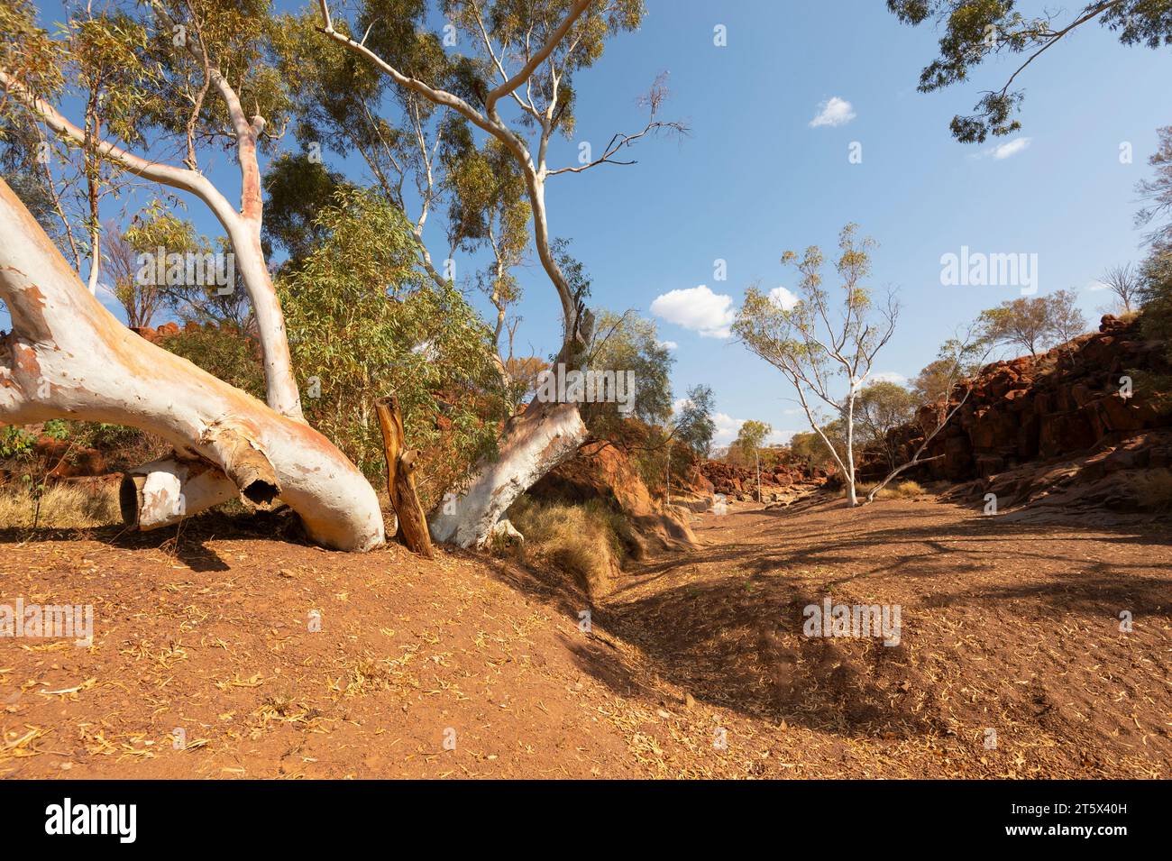 Dry riverbed of Weeli Wolli Creek, an Aboriginal cultural site at Wanna ...