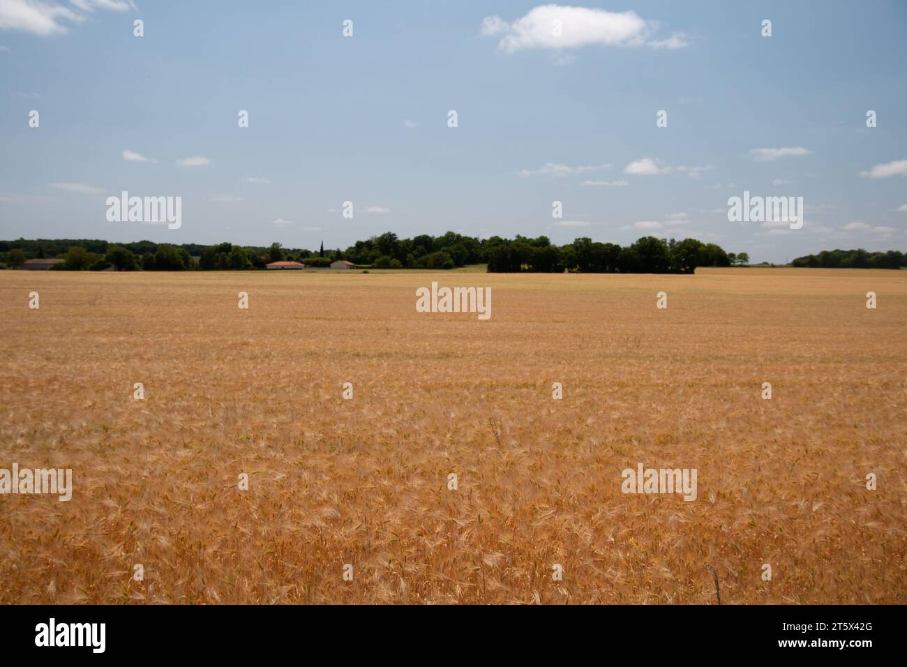Cereales cereales hi-res stock photography and images - Alamy