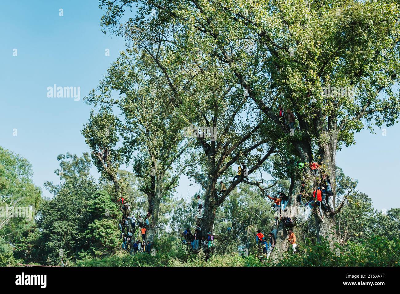 Cricket world cup 2023 ball hi-res stock photography and images - Alamy