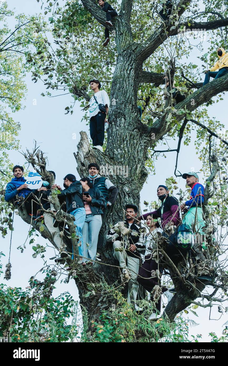 Kathmandu, Nepal - November 5, 2023 : Nepali Crazy cricket fans ...