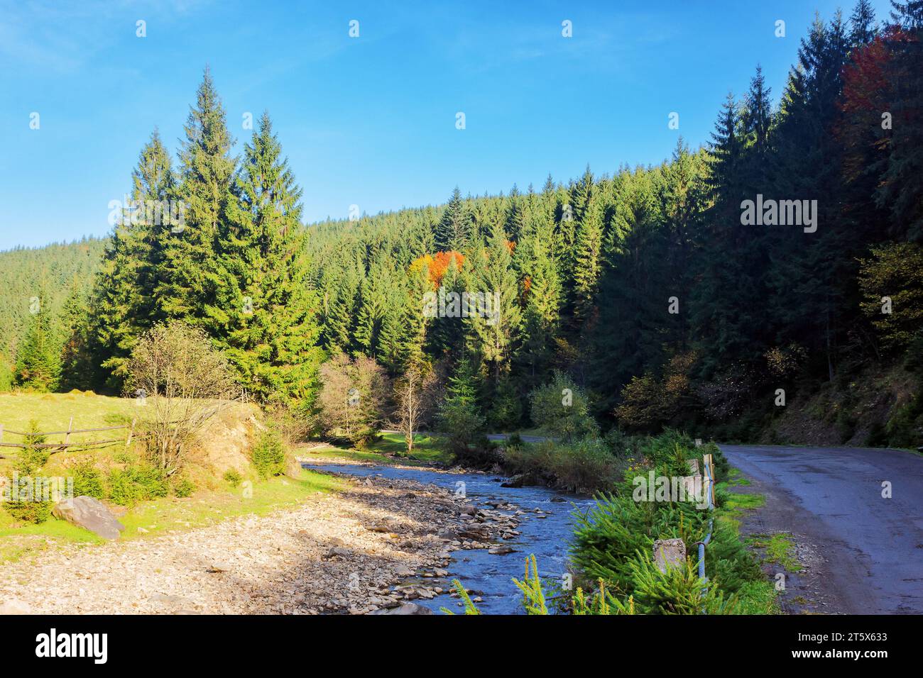 narrow mountain river in autumn. unexpected drought and dry fall season ...